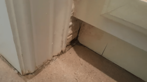 The Problems With Improper Grading - RedFish Inspections
